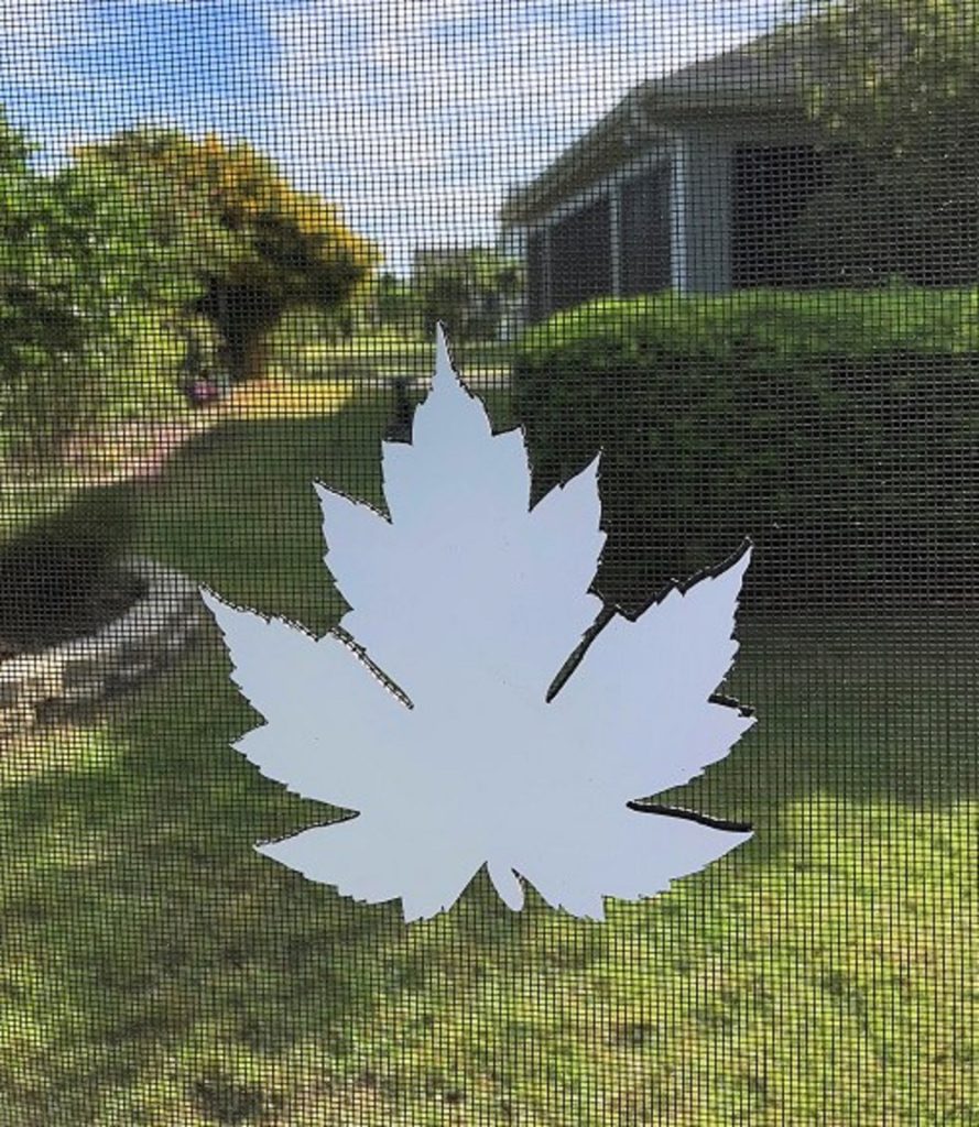 DCentral Maple Leaf Flexible Screen Magnet Double-Sided Décor ...